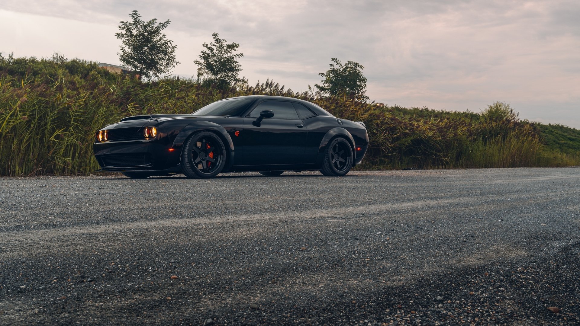 Dodge Challenger SRT Hellcat - Desktop Wallpapers, Phone Wallpaper, PFP ...