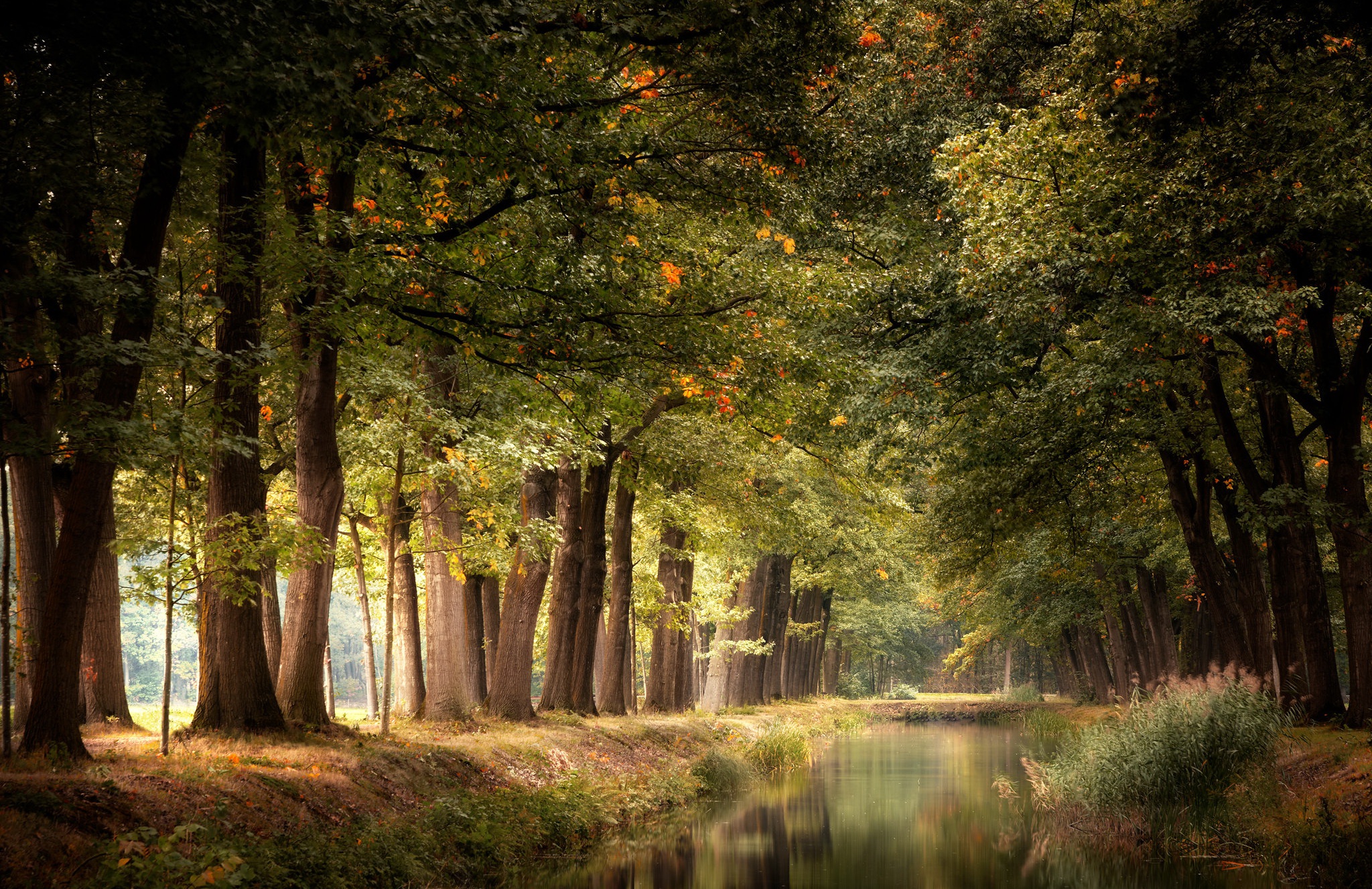 Download Nature Stream HD Wallpaper