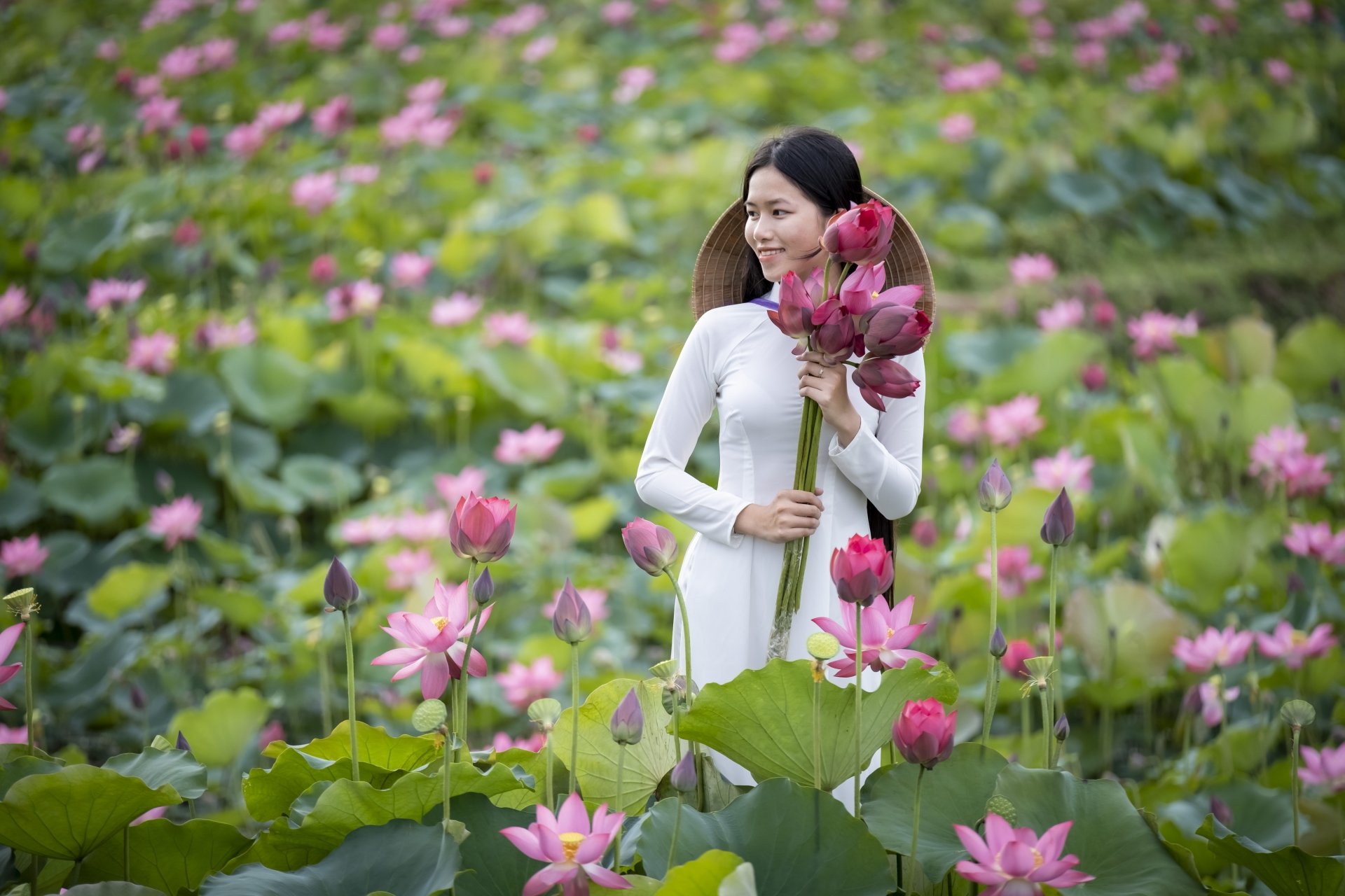 Download Pink Flower Lotus Woman Asian 4k Ultra HD Wallpaper