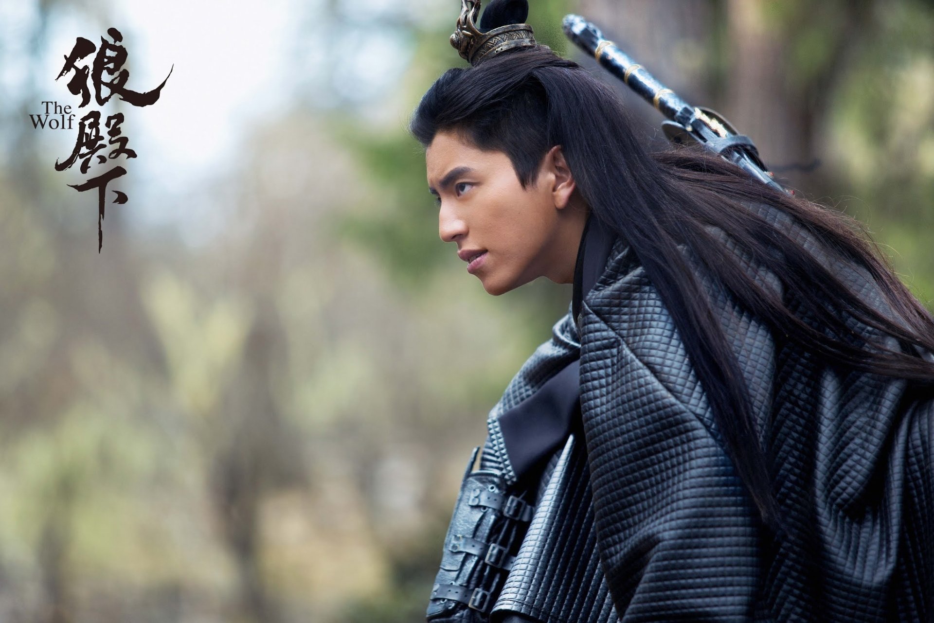 Download TV Show The Wolf (TV Show) HD Wallpaper