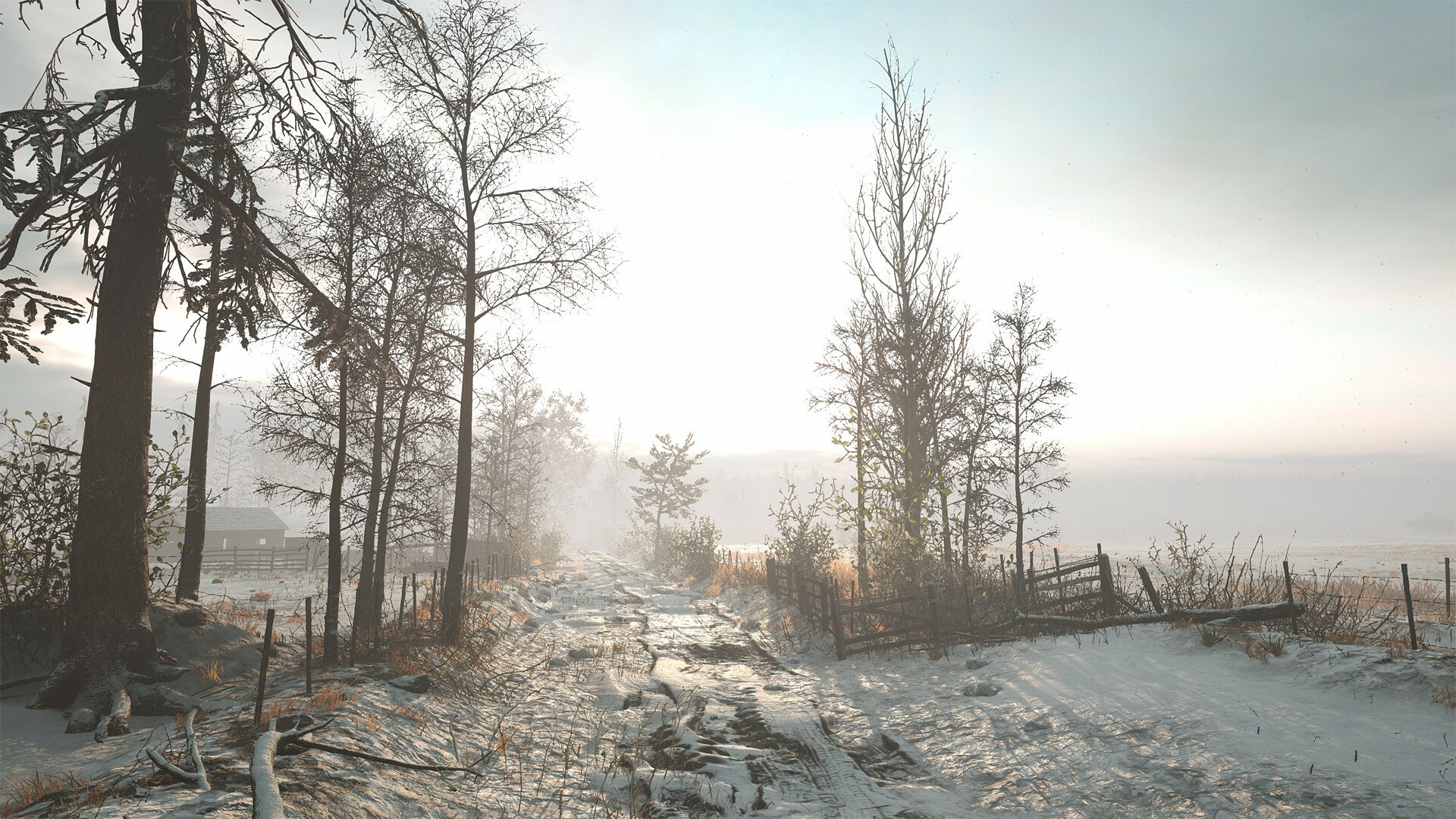 Hell Let Loose Winter Battlefield Wallpaper HD