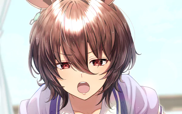 Download Shinko Windy Anime Uma Musume: Pretty Derby HD Wallpaper