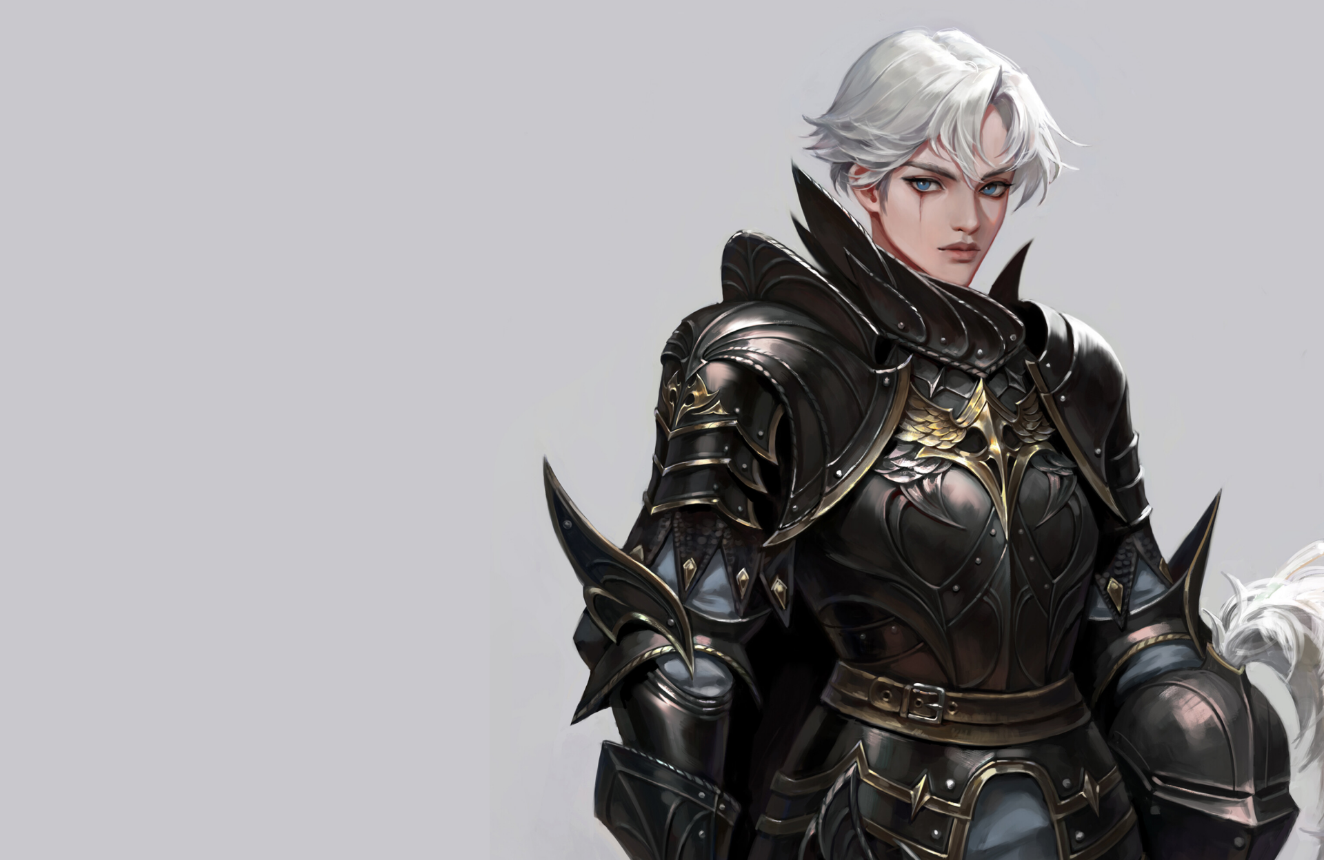 Download Fantasy Knight HD Wallpaper by Hyeyoung Kim
