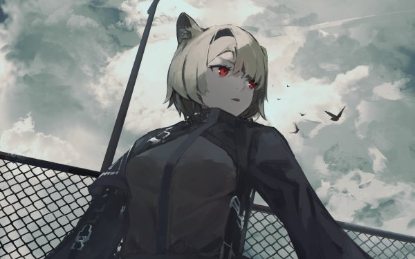 Absinthe (Arknights) 4k Wallpapers