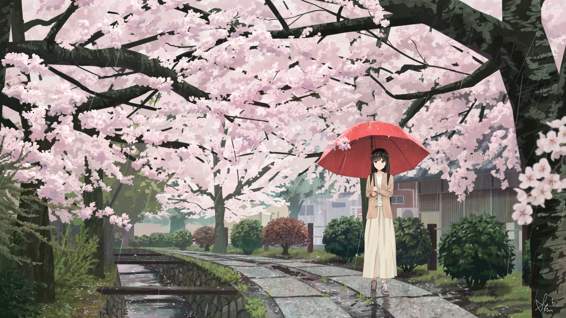 Download Sakura Cherry Blossom Umbrella Rain Anime Girl Anime Girl Rain ...