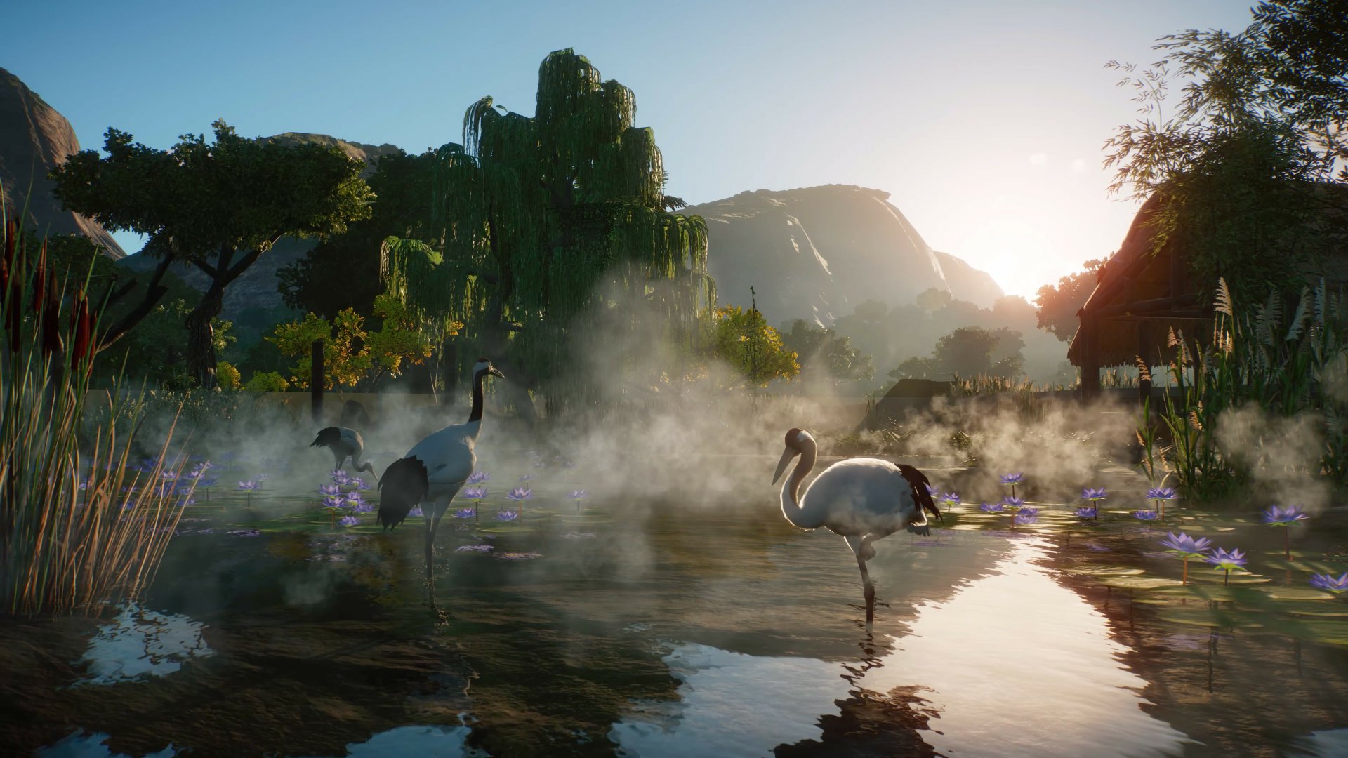 Download Video Game Planet Zoo 4k Ultra HD Wallpaper