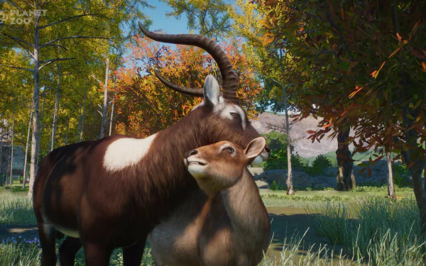 [10+] Planet Zoo 4k Wallpapers