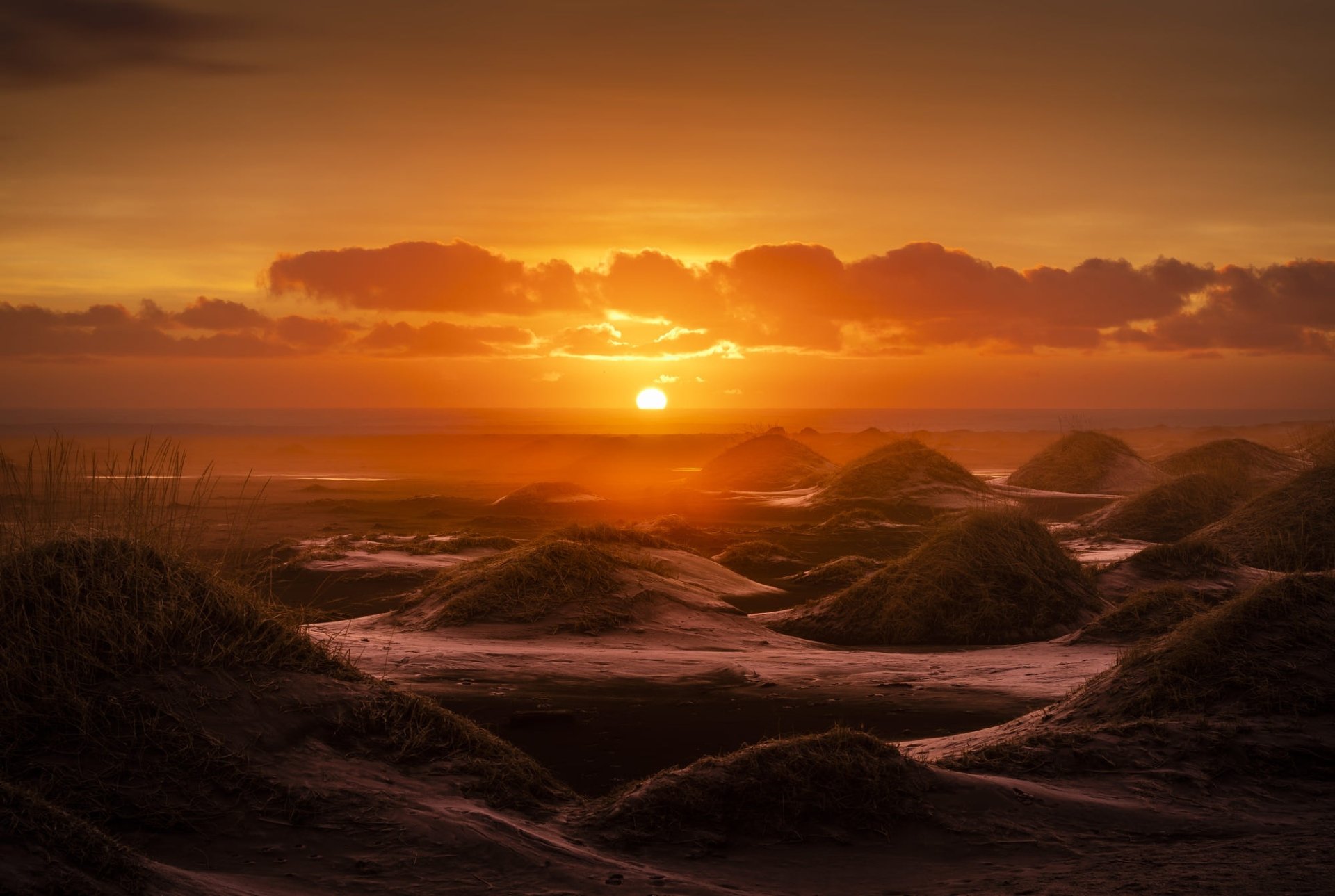 Golden Dawn over Nature's Horizon - HD Sunrise Wallpaper | 2000x1343 ...