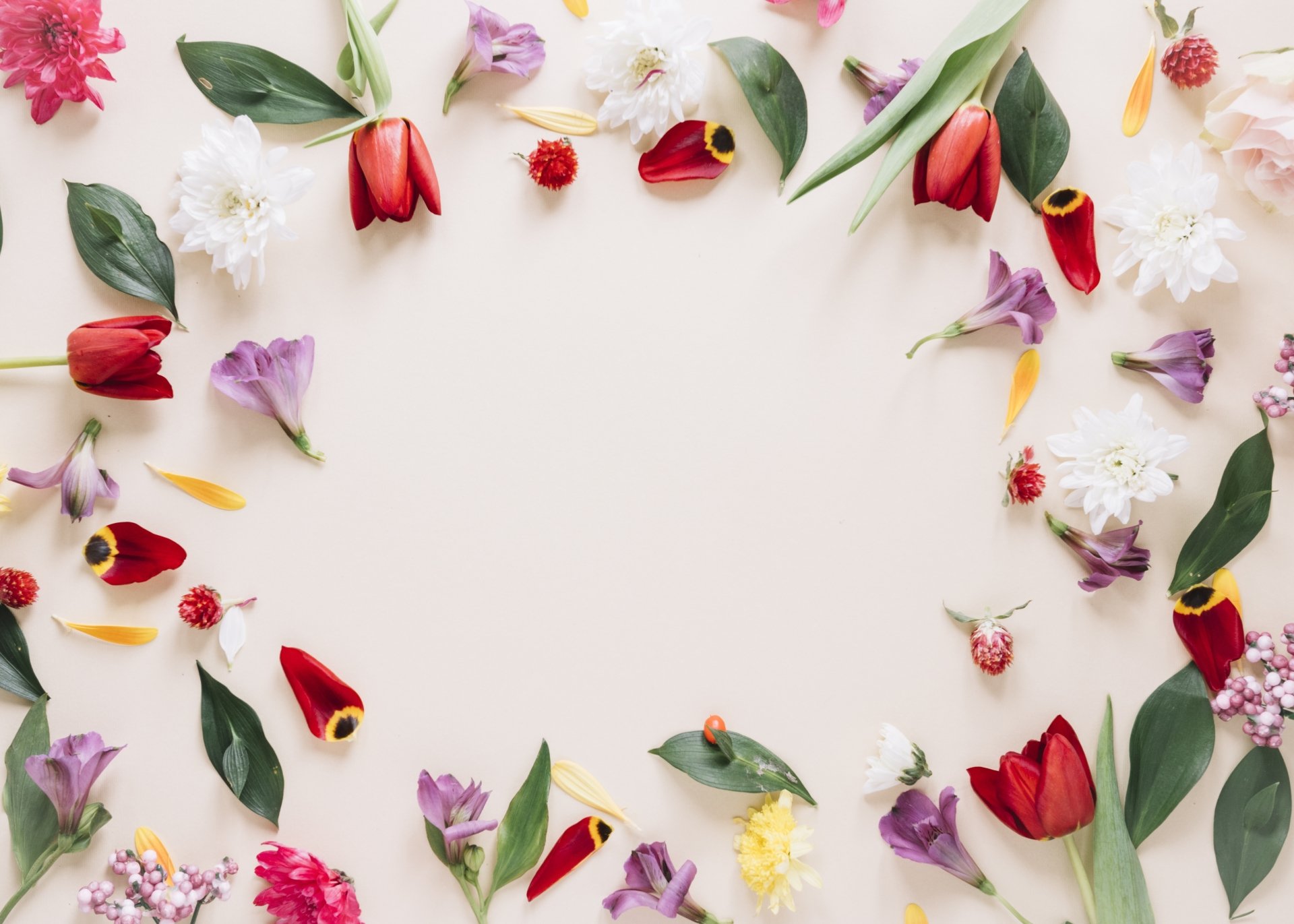 Download Man Made Flower 4k Ultra HD Wallpaper | 5600x4000 | Wallpaper ...