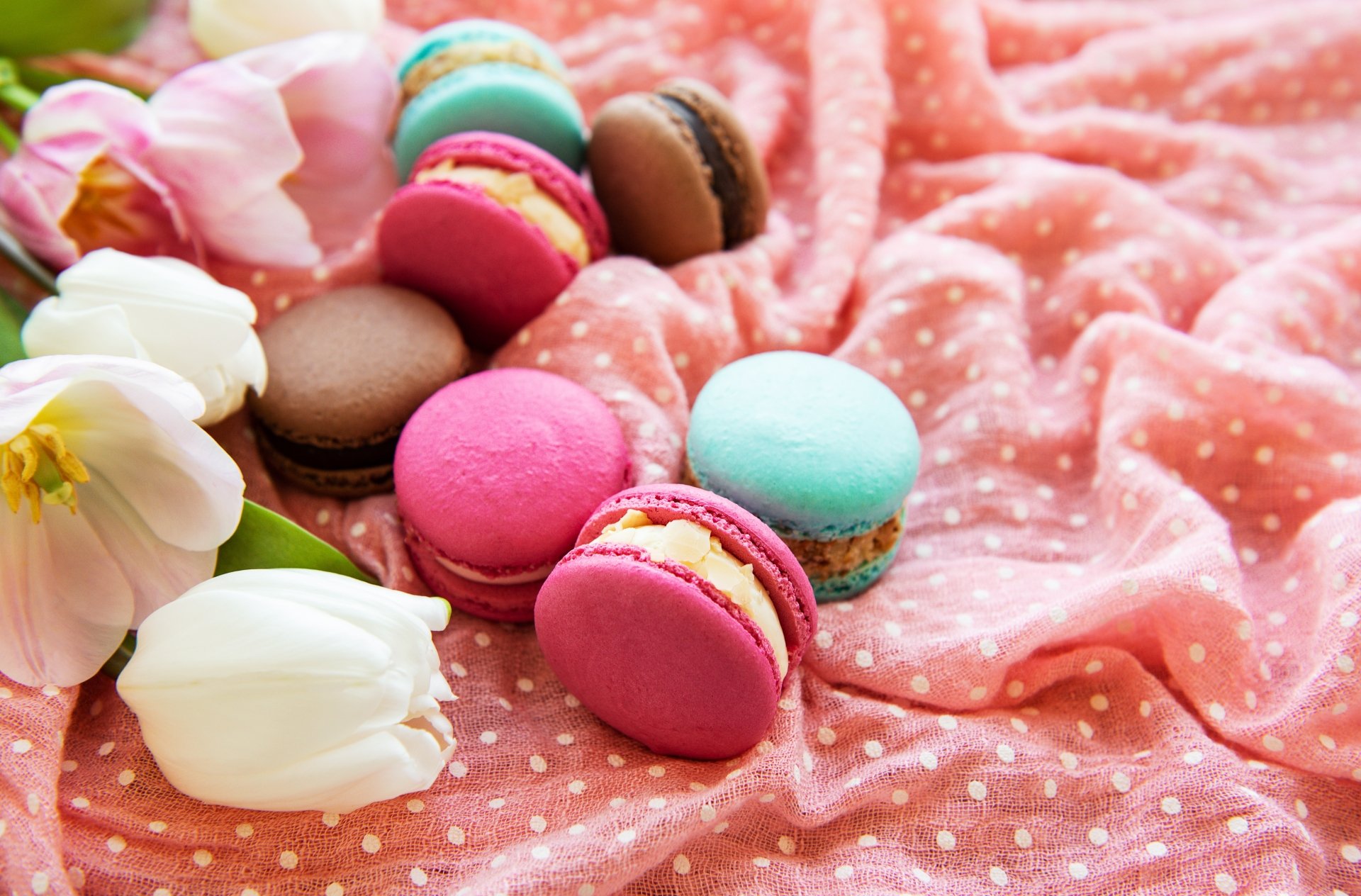 Download Food Macaron 4k Ultra HD Wallpaper