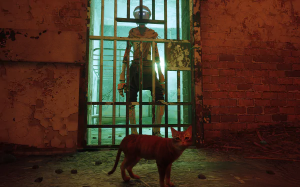 Stray Video Game HD Wallpaper