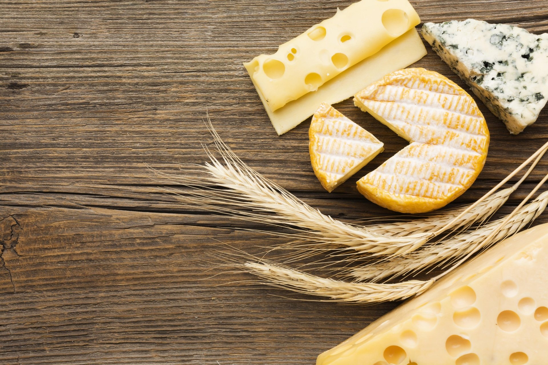 Cheese - Desktop Wallpapers, Phone Wallpaper, PFP, Gifs, and More!