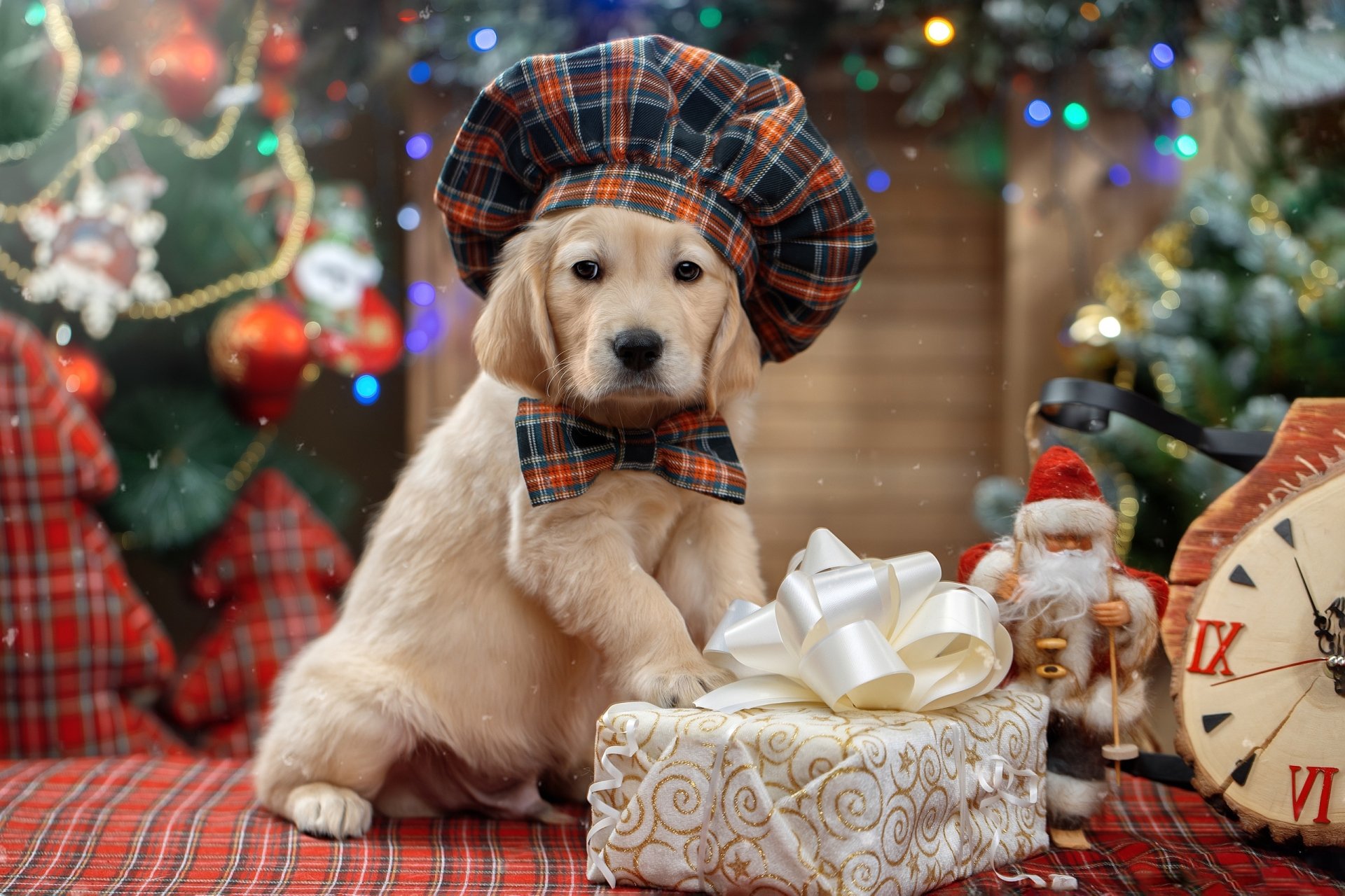 Download Puppy Animal Golden Retriever HD Wallpaper