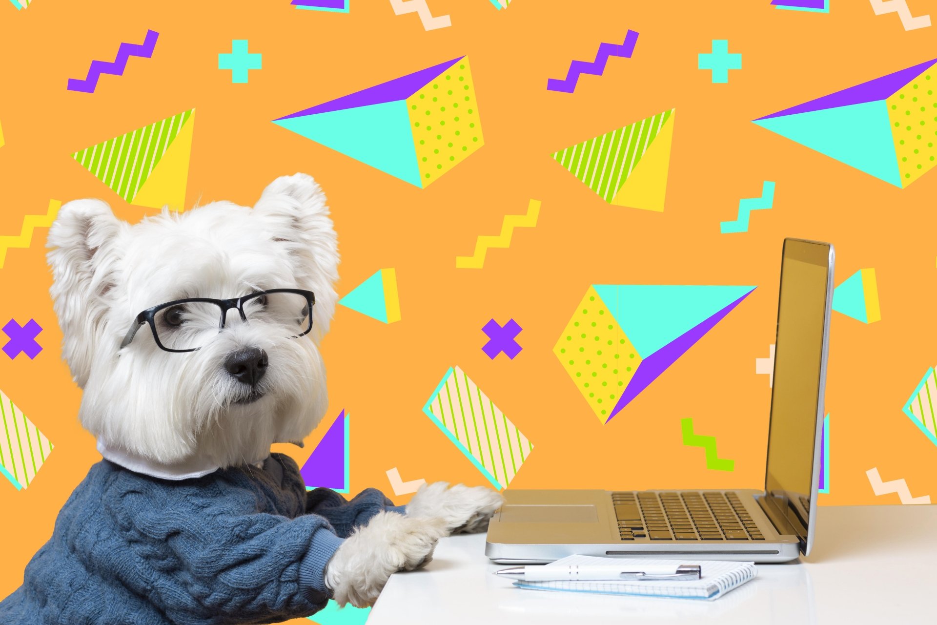 Geeky Pup at the Laptop — Funny 5K Ultra HD Dog Wallpaper