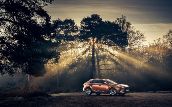 [30+] Lexus RX 450H Wallpapers