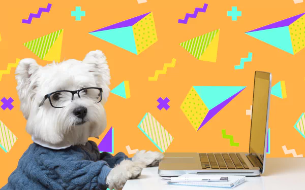 [100+] Funny 4k Wallpapers