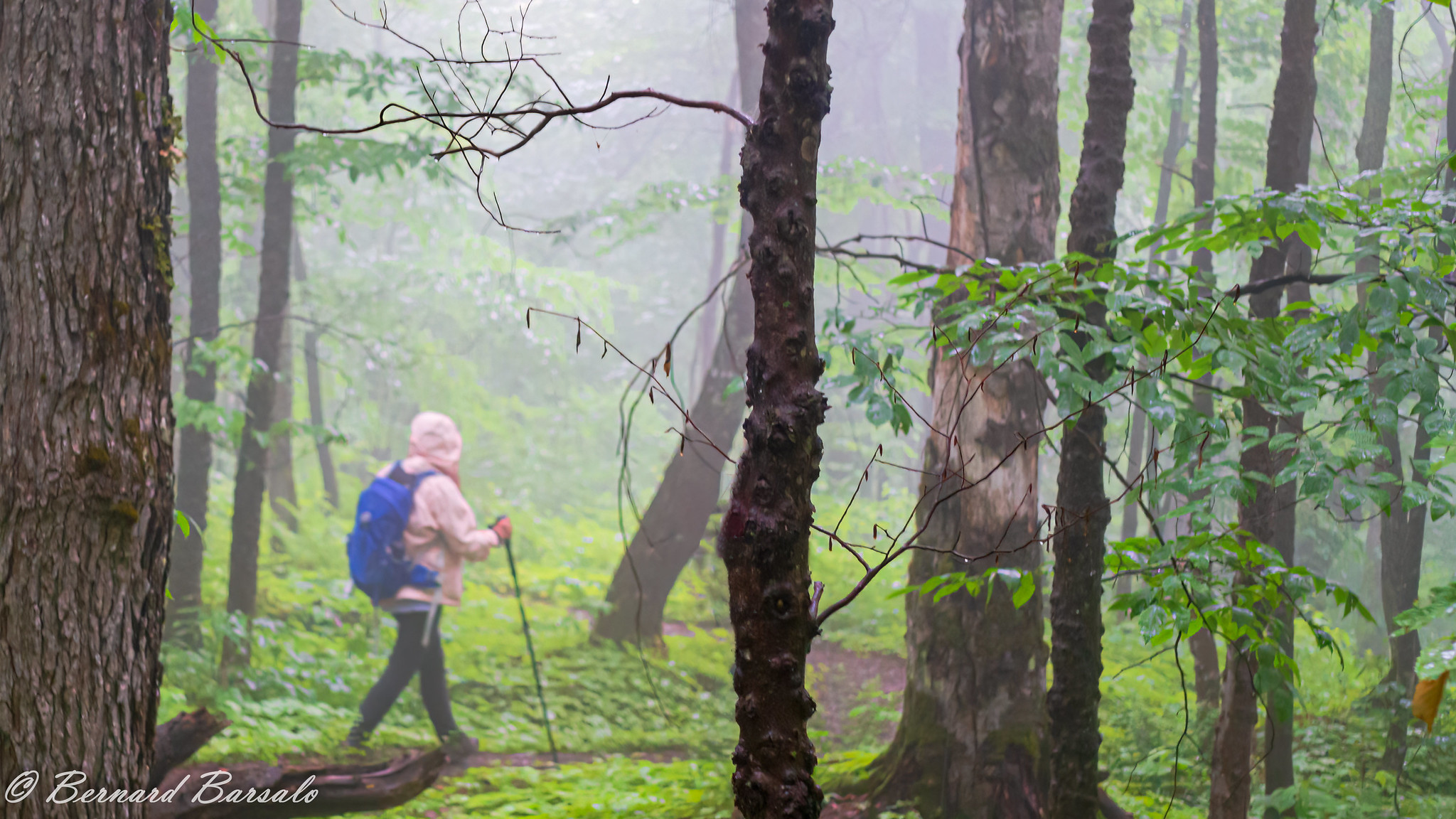 Download Canada Man Made Quebec HD Wallpaper