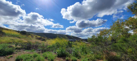 Southern California - Desktop Wallpapers, Phone Wallpaper, PFP, Gifs ...