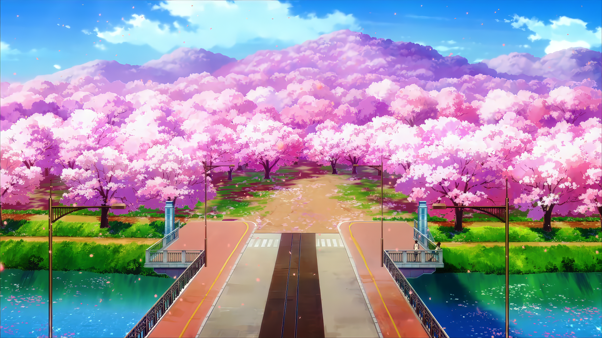 Cherry Blossom Tree 4k Wallpapers