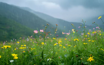 Spring Rain Wallpaper Hd Widescreen