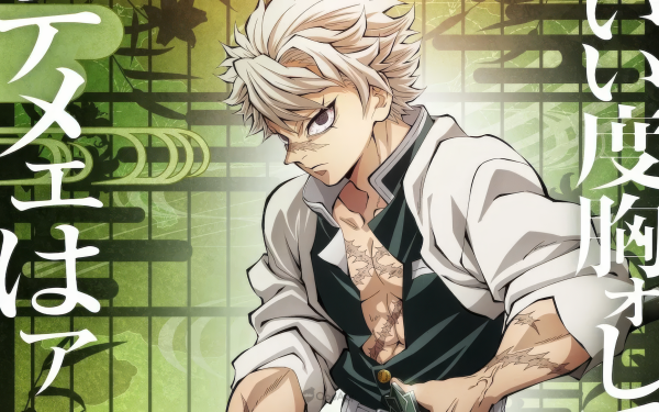 Sanemi Shinazugawa - Desktop Wallpapers, Phone Wallpaper, PFP, Gifs ...