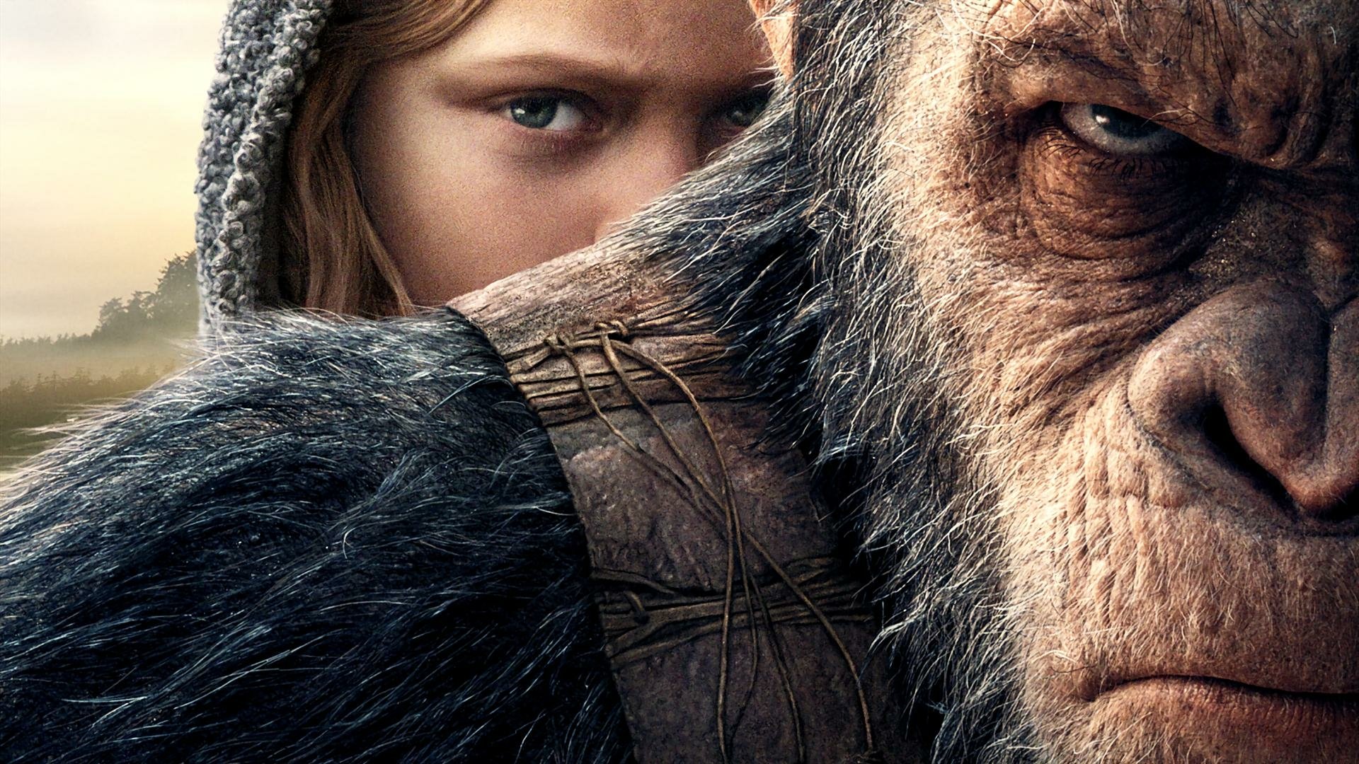 War Of The Planet Of The Apes - Desktop Wallpapers, Phone Wallpaper, PFP, Gifs, and More!
