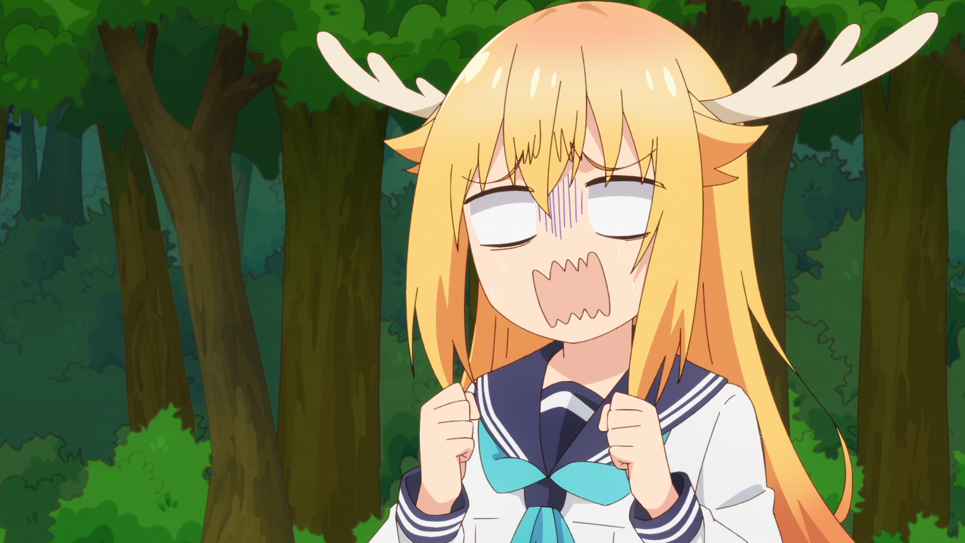 Download Anime My Deer Friend Nokotan Torako Koshi HD Wallpaper