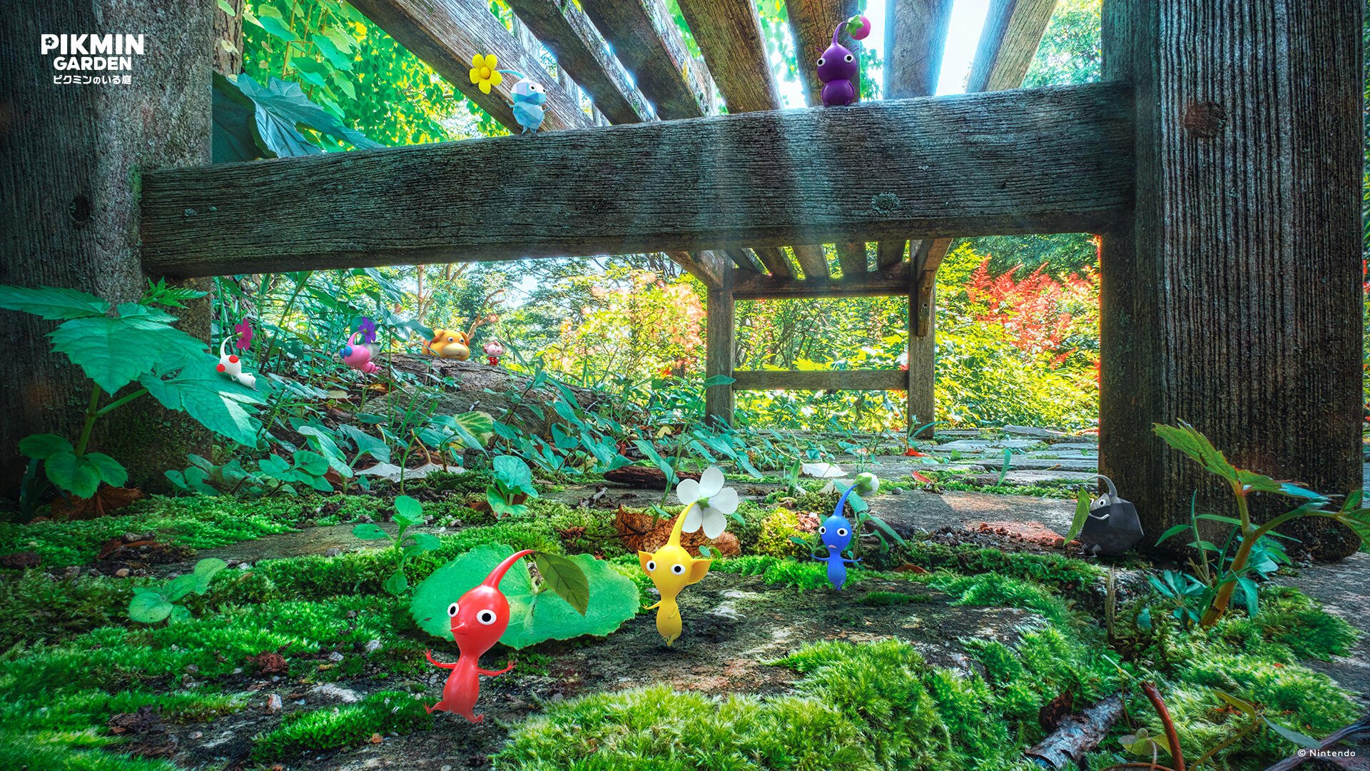 Download Pikmin 4 HD Wallpaper