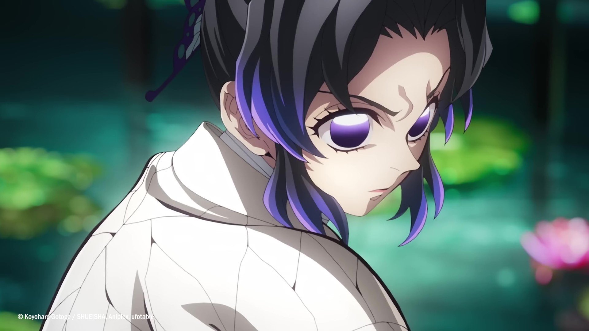 Download Anime Demon Slayer: Kimetsu No Yaiba Shinobu Kochou HD Wallpaper