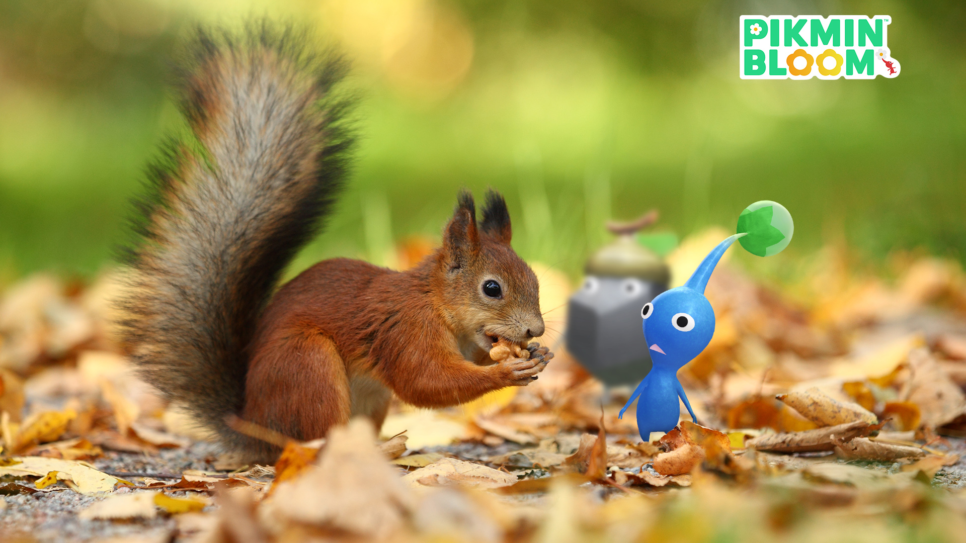Pikmin Bloom HD Wallpaper: A Charming Encounter in Nature