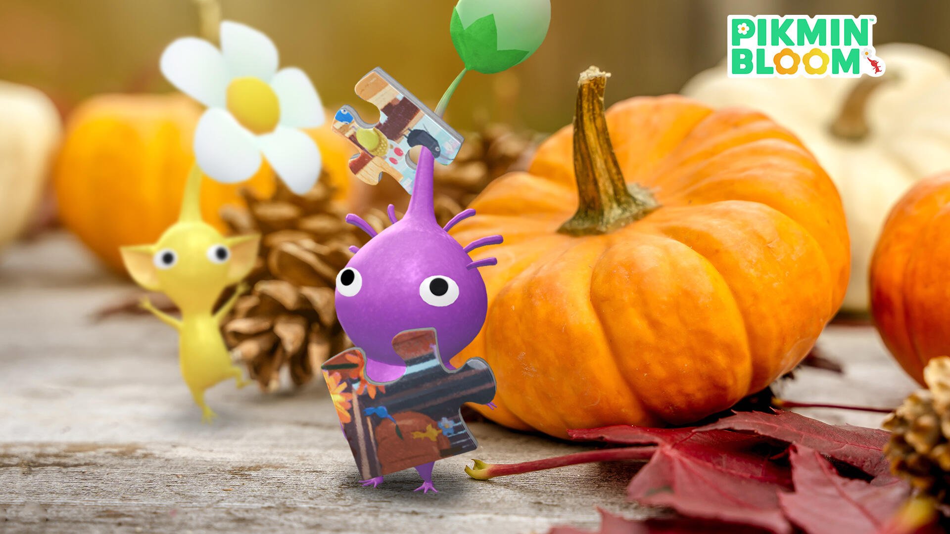 Pikmin Pumpkin Harvest — HD Wallpaper