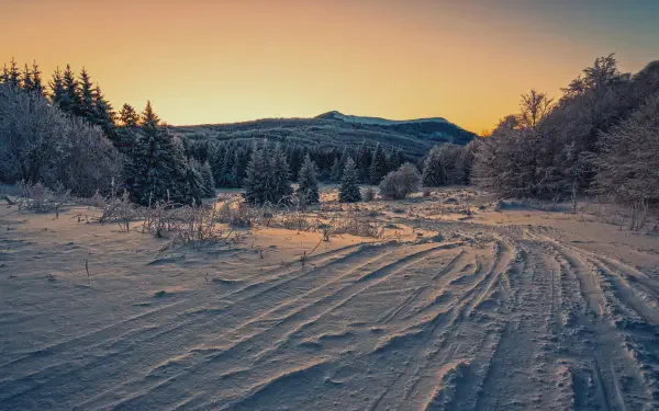 [10+] Cold 4k Wallpapers