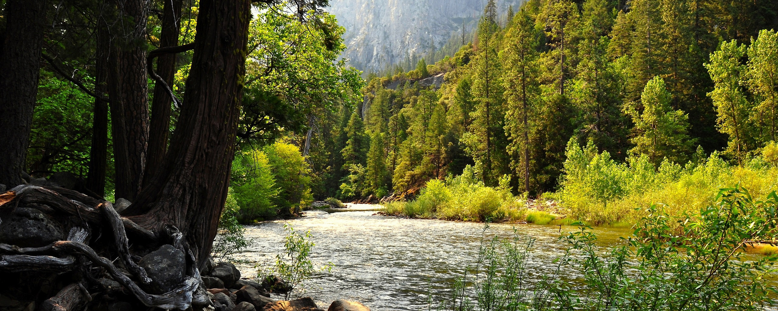 Download Nature River Wallpaper