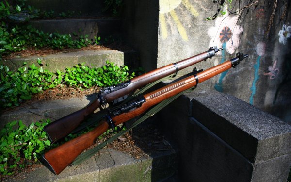 Rifle 4k Ultra HD Wallpaper | Background Image | 4608x3456