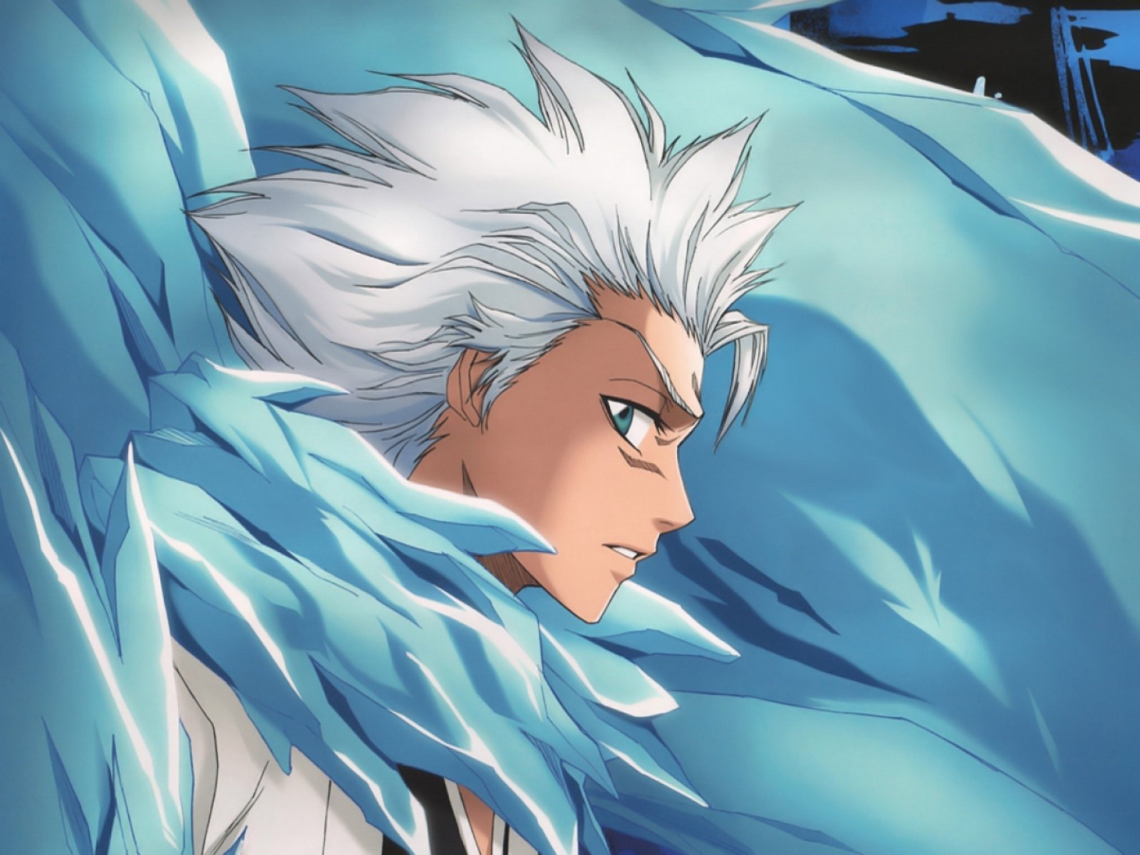Download Tōshirō Hitsugaya Anime Bleach Wallpaper