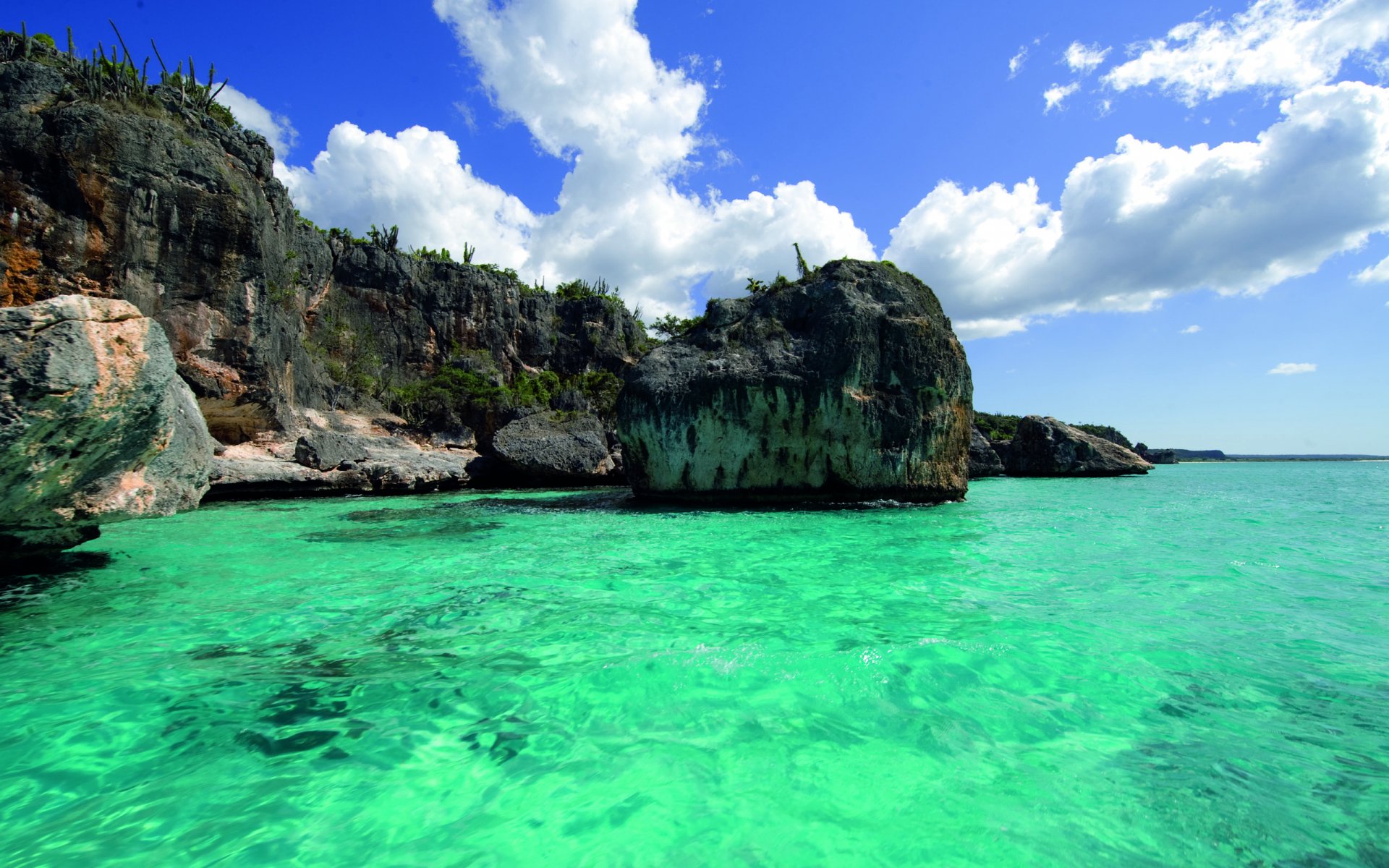 Crystal Clear Ocean Bliss: Stunning Nature HD Wallpaper | 2560x1600 ...