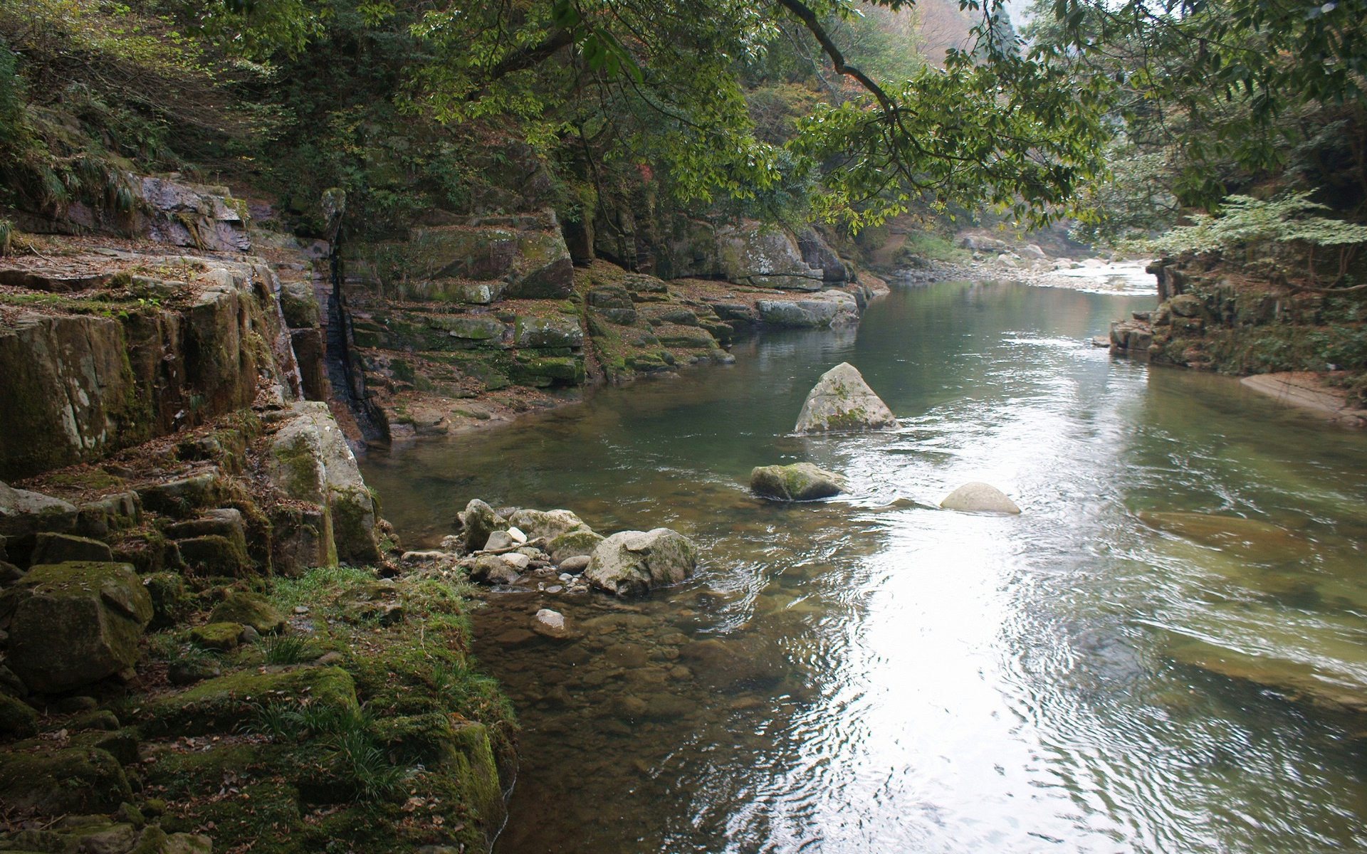 Download Nature River HD Wallpaper