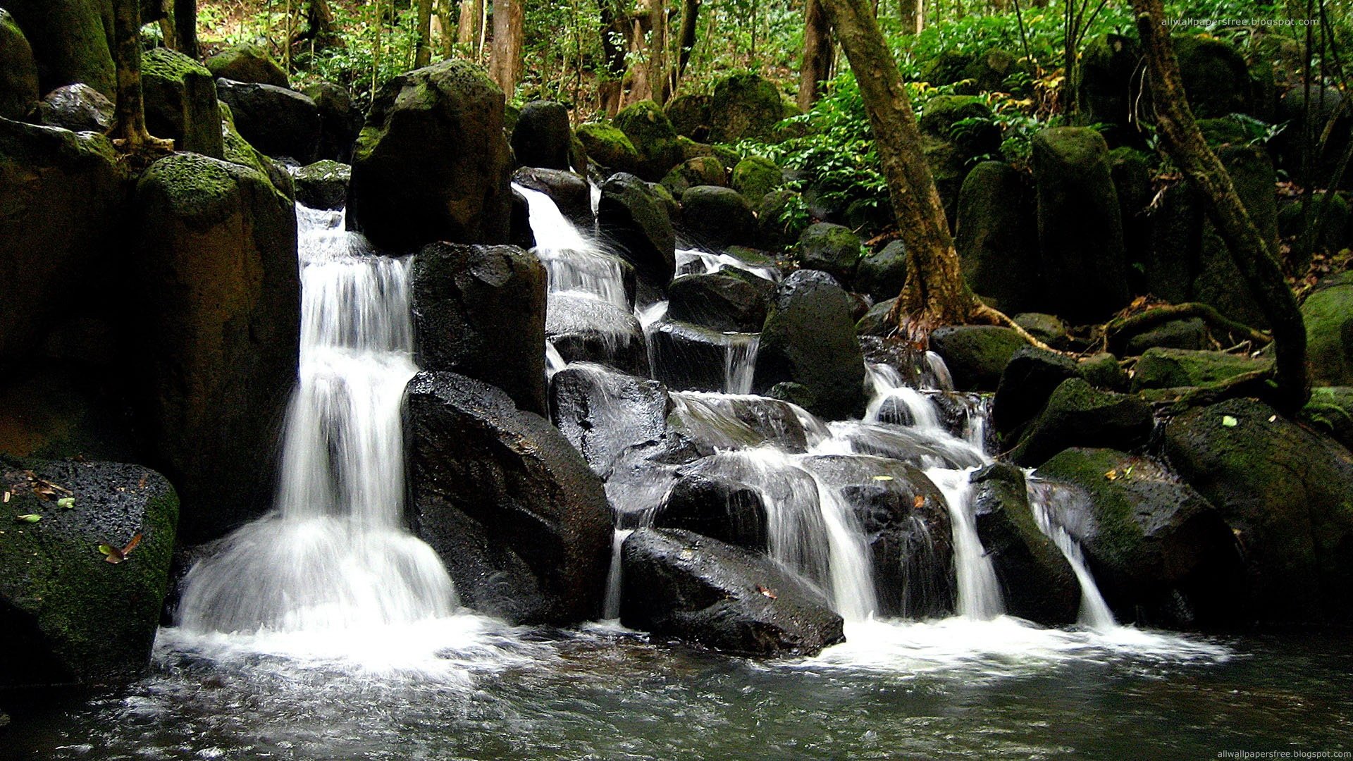 Download Nature Waterfall HD Wallpaper | 1920x1080 | Wallpaper Abyss