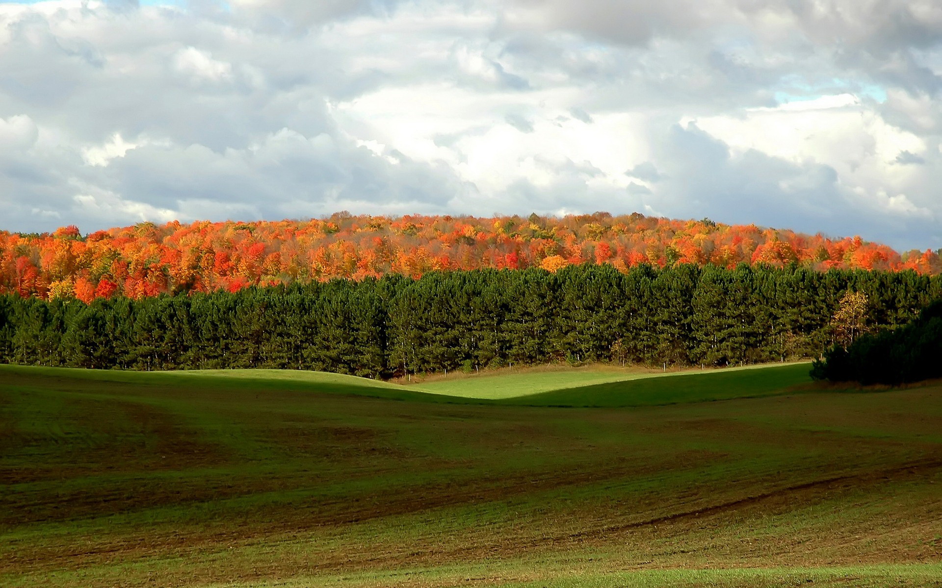 Download Nature Fall HD Wallpaper