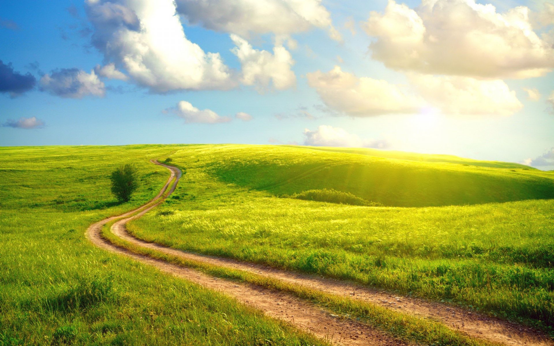 Download Landscape Man Made Path HD Wallpaper
