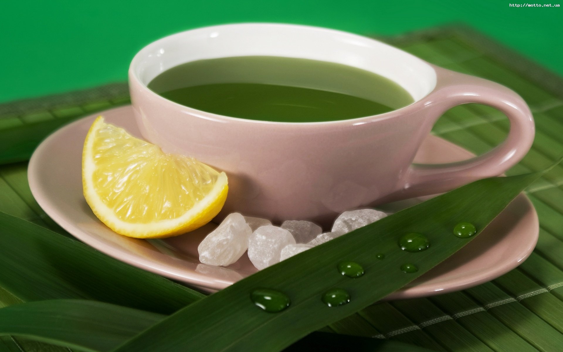 Refreshing Green Tea Delight – HD Food Wallpaper