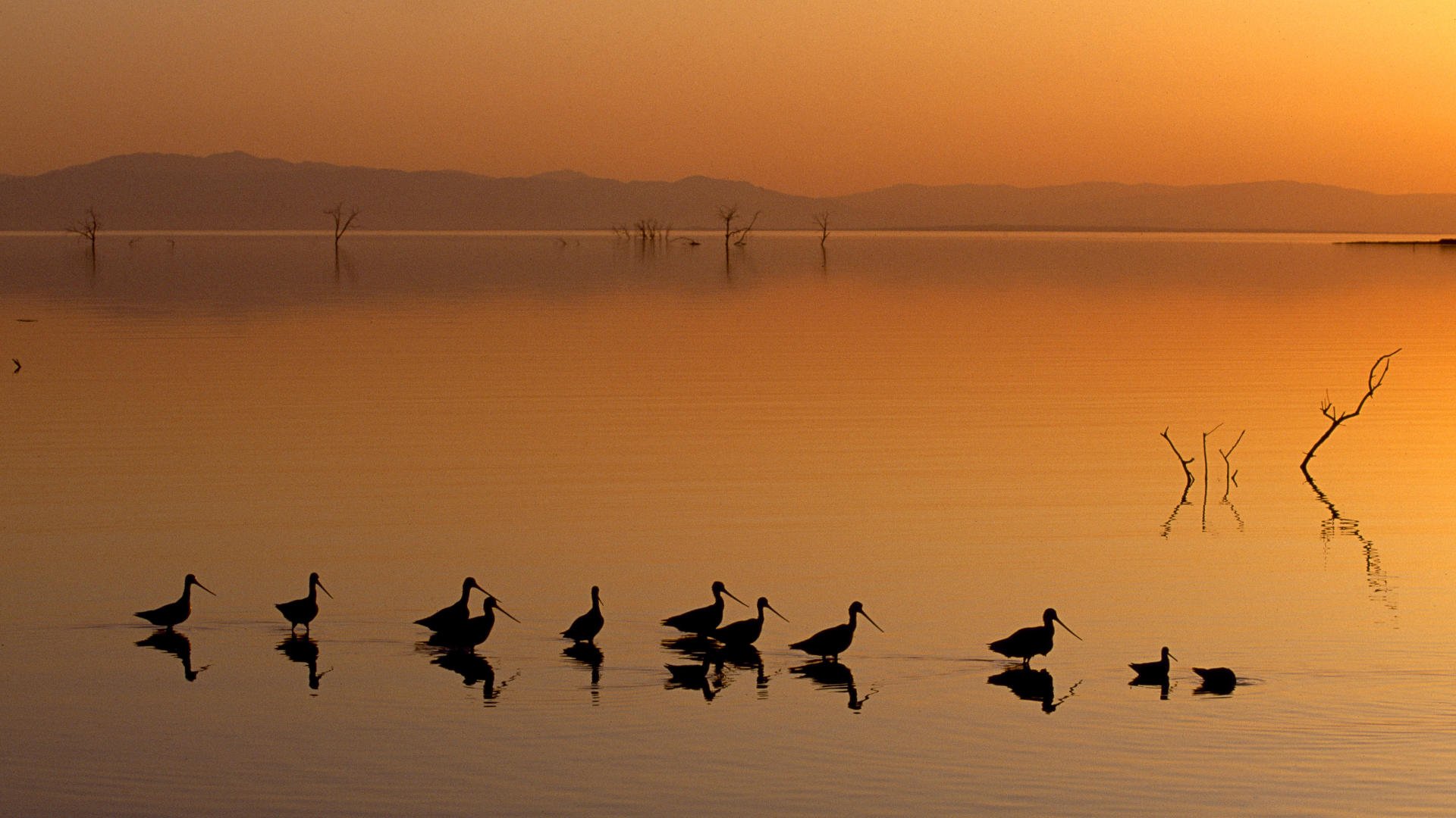 Download Photography Reflection HD Wallpaper