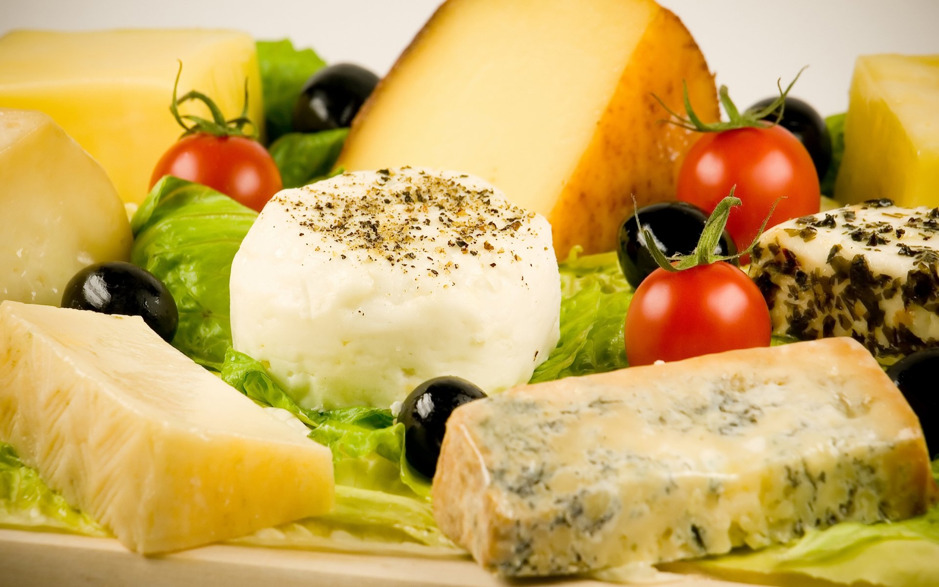 Gourmet Cheese Delight HD Wallpaper