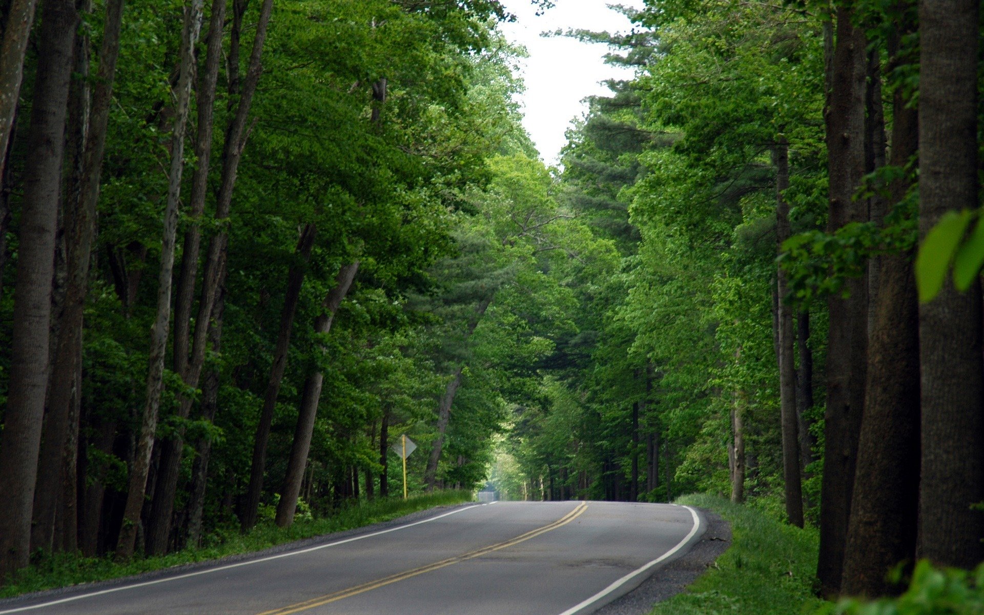 Download Man Made Road HD Wallpaper | 1920x1200 | Wallpaper Abyss