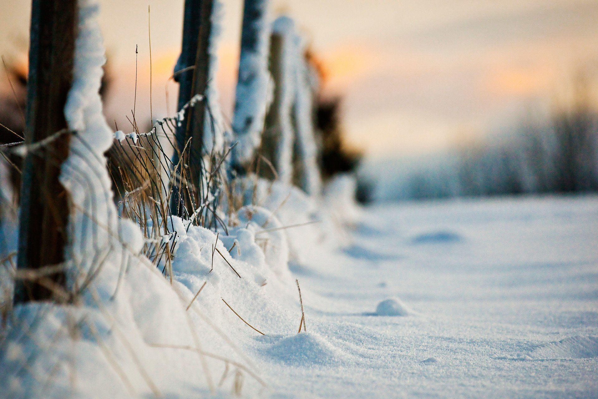 Winter HD Wallpaper