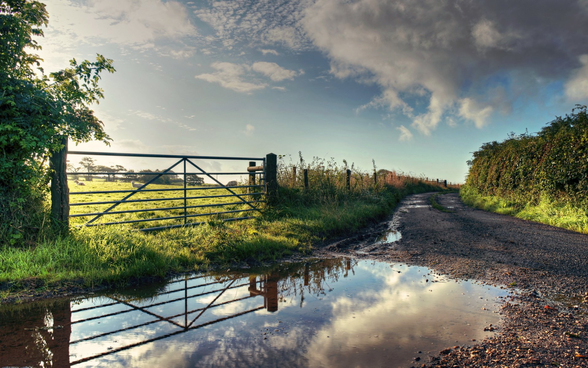 HD Reflection: Serene Countryside Photography