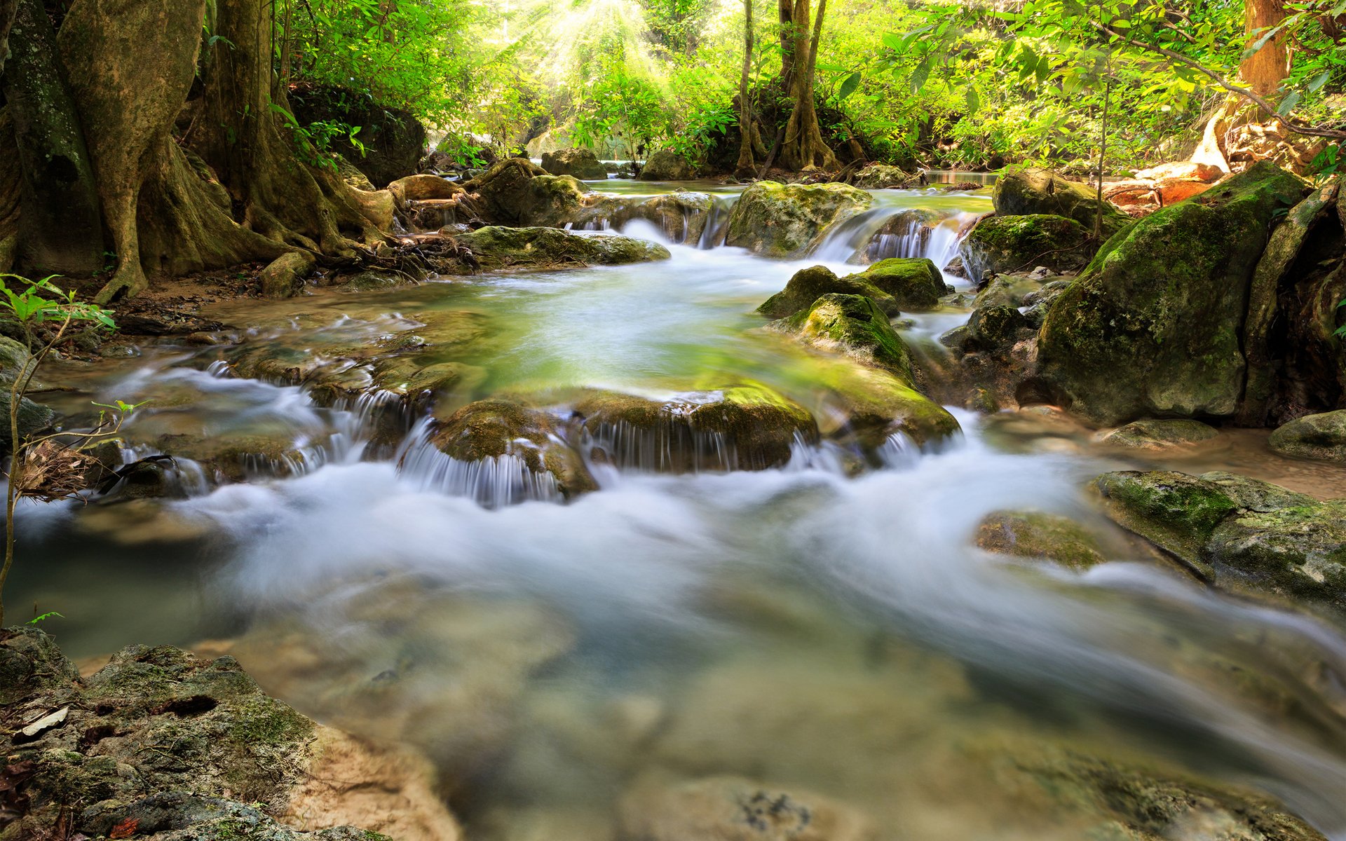Download Nature River HD Wallpaper