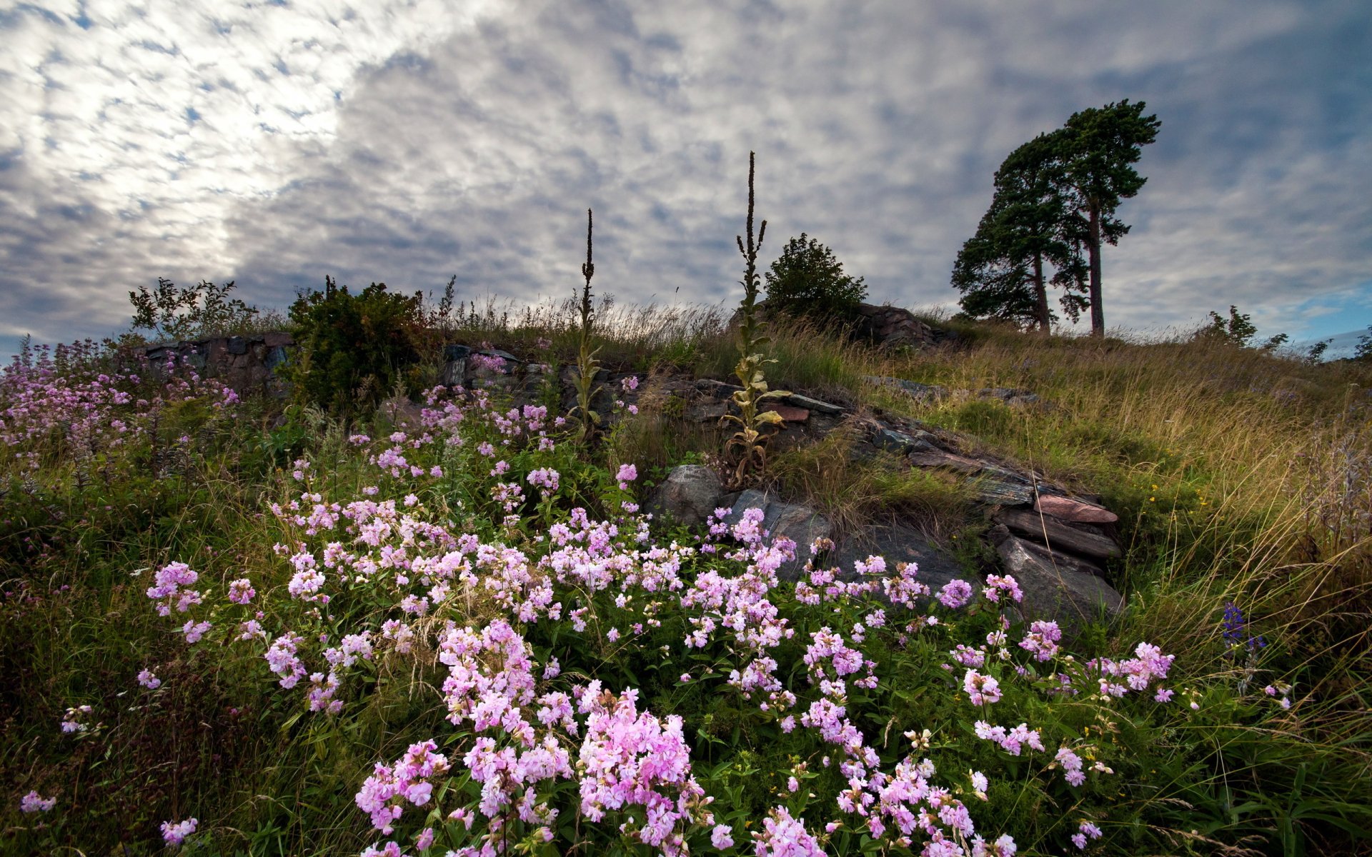 Download Nature Landscape HD Wallpaper | 2560x1600 | Wallpaper Abyss