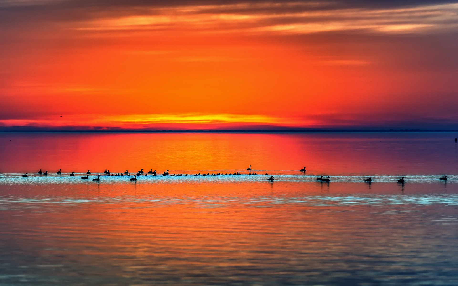 Download Nature Sunset HD Wallpaper