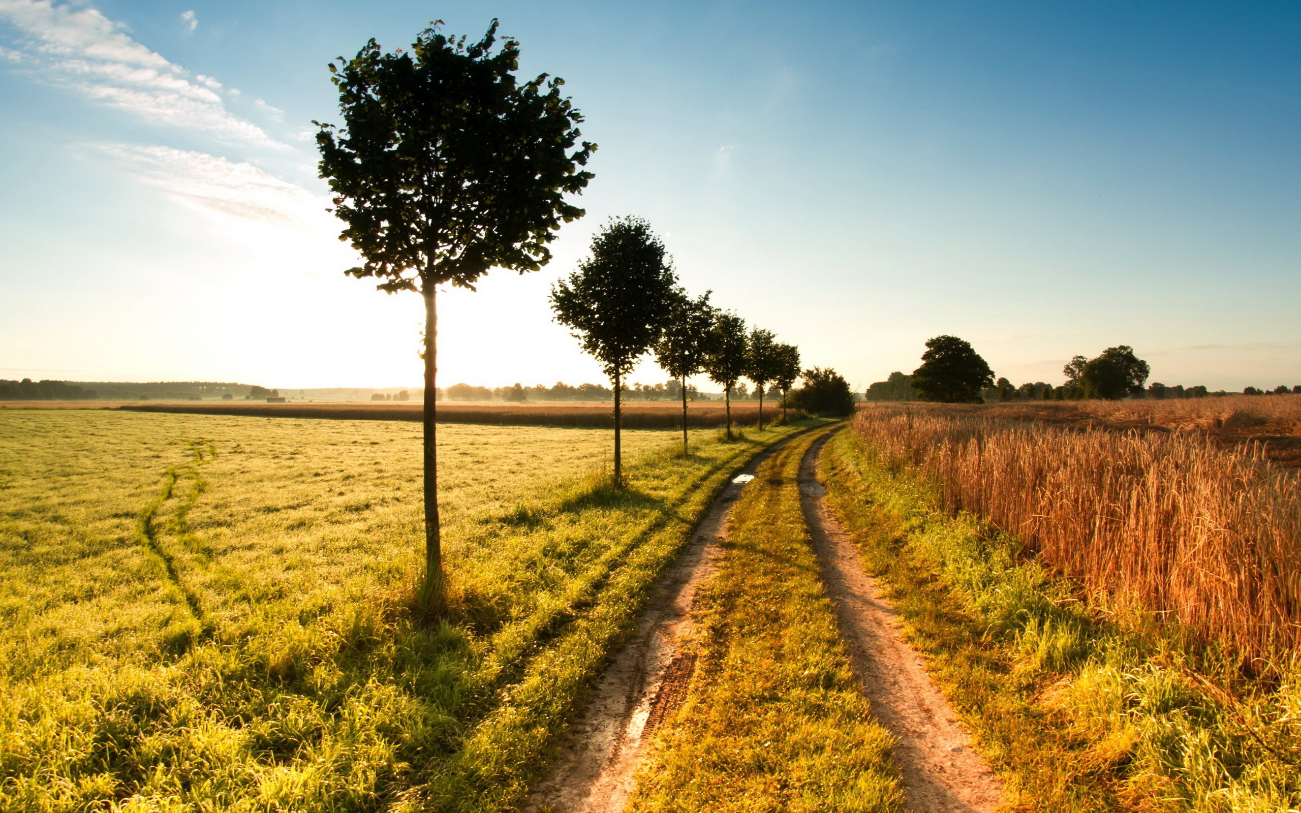 Download Man Made Road HD Wallpaper